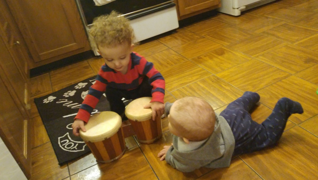 Babies, Bongos and Remembering Dad | Crazy Cat Lady Mews